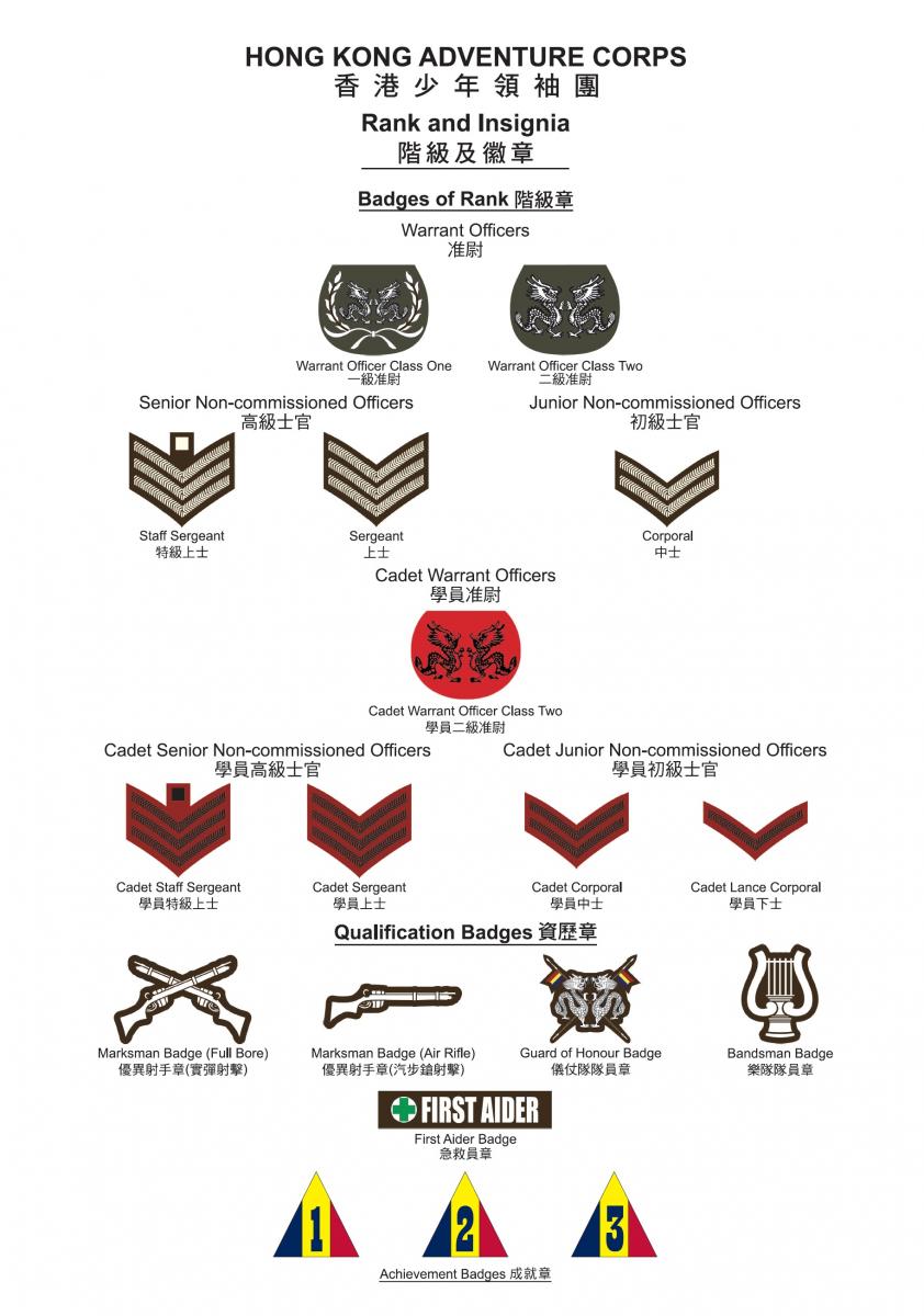 階級及徽章 | 香港少年領袖團